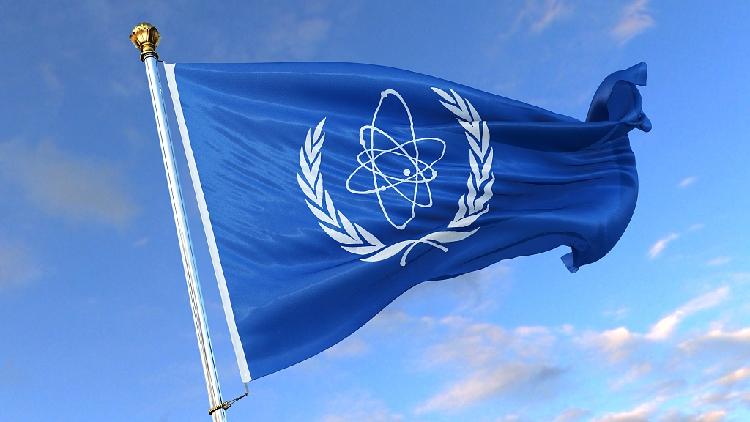 UN atomic agency: Radiation levels at Chernobyl pose no risk to public ...