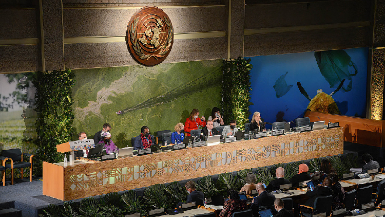 A 360-degree look at UNEP 50th anniversary and what the future holds - CGTN