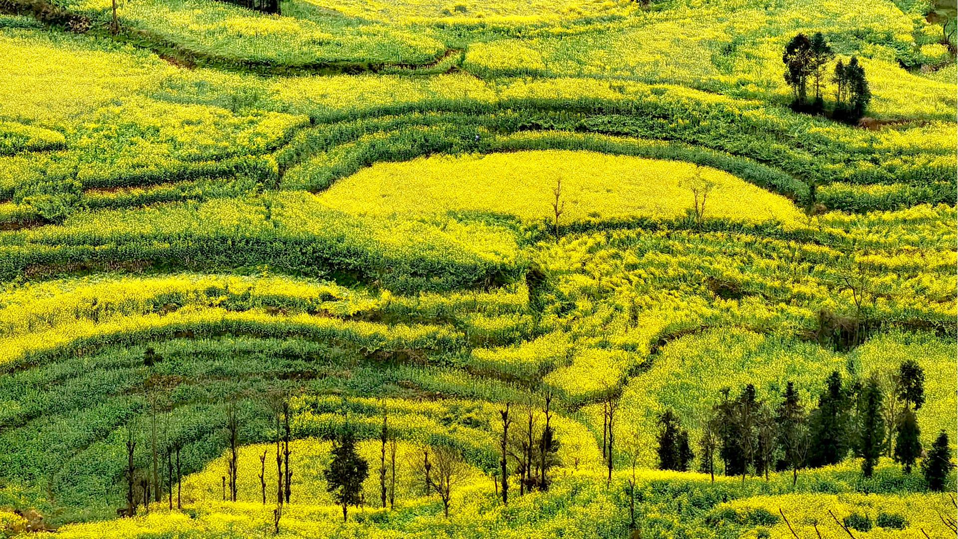 The spring sceneries and stunning sights of SW China - CGTN