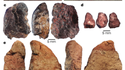 Relics in China reveal modern human lifestyle 40,000 years ago - CGTN