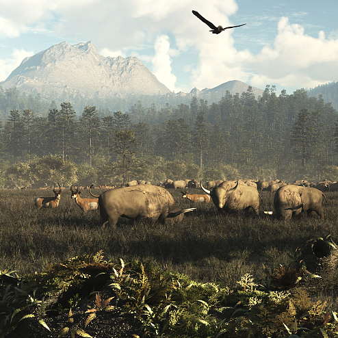 Newly discovered species at higher risk of extinction: study - CGTN