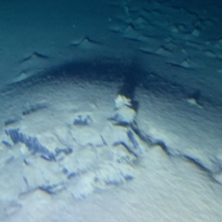 Chile scientists find new microscopic organisms in deep sea trench - CGTN
