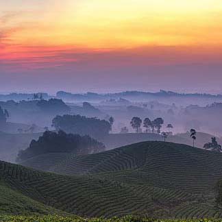 Bird's eye view of Henan: Birthplace of 'best tea in the world' - CGTN
