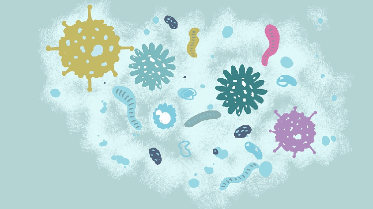 Rise of superbugs and overuse of antibiotics during COVID-19 pandemic ...