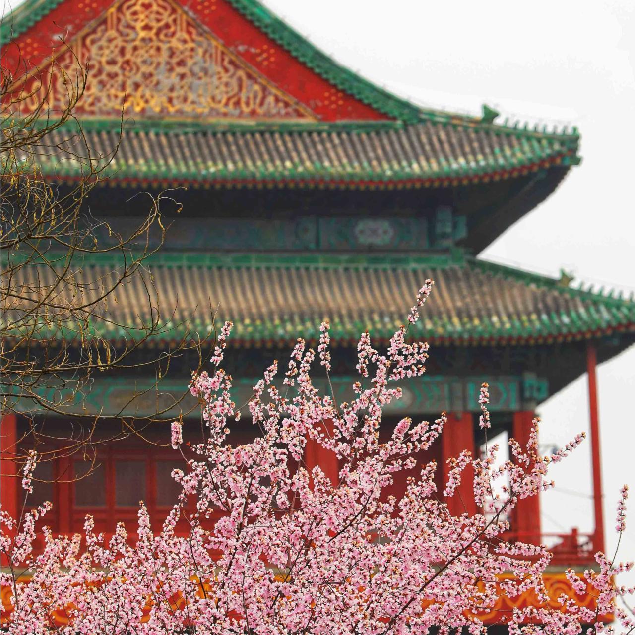 Three places to enjoy spring and ancient architecture in Beijing - CGTN