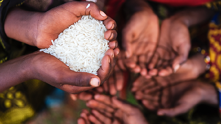 Why is hunger prevalent in Africa? - CGTN