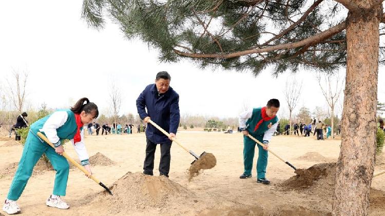 China steps up tree-planting efforts to reduce carbon emissions - CGTN