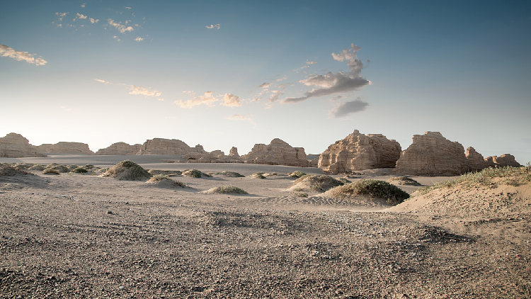 Up to 40 pct of Earth's land degraded: UN report - CGTN