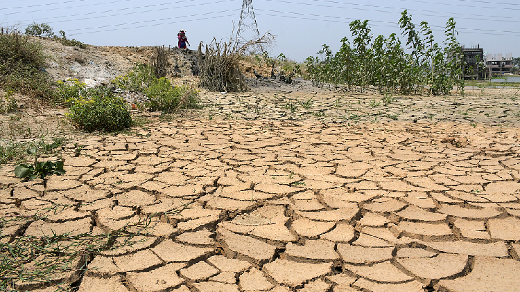 China urges global cooperation to fight drought, desertification - CGTN