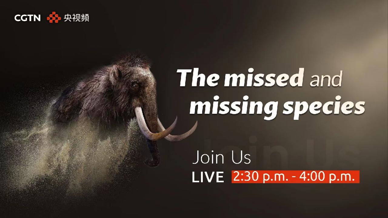 Live: Learn more about the missed and missing species - CGTN