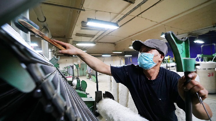 Employment, labor rights in Xinjiang are fully protected: scholars - CGTN