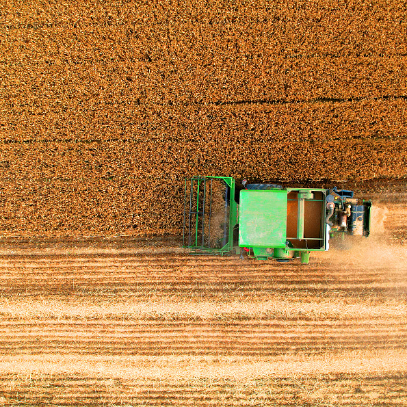Live: Wheat production base in central China's Henan Province – Ep. 9 ...