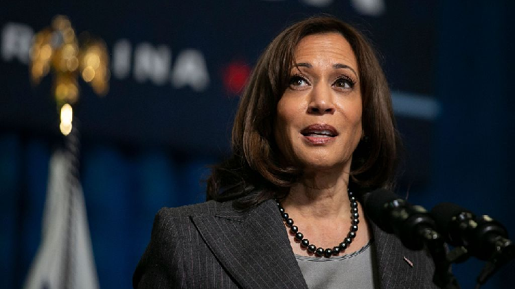 U.S. VP Harris announces $1.9b in private funds to address migration - CGTN