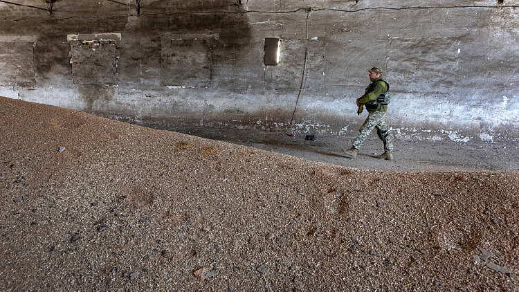 Who's to blame for the global food crisis and how to fix it? - CGTN