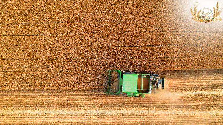 Live: Wheat production base in central China's Henan Province - CGTN