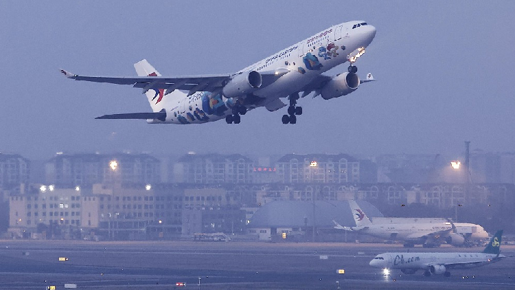 China sees recovery in weekly freight capacity - CGTN