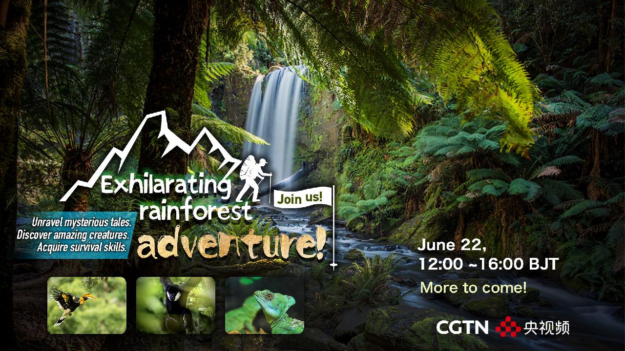 Live: Exhilarating rainforest adventure! - CGTN
