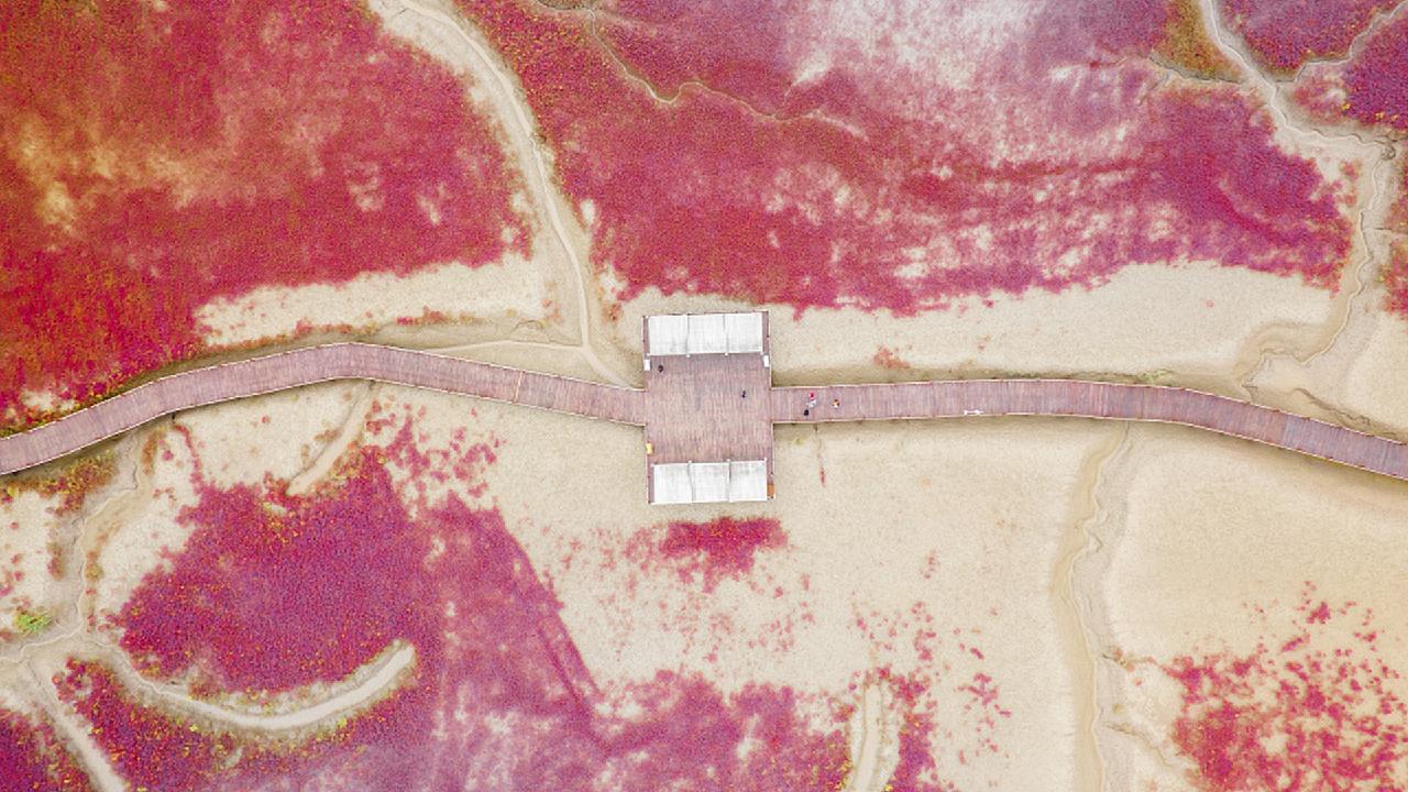 Have you ever seen a 'red beach'? - CGTN