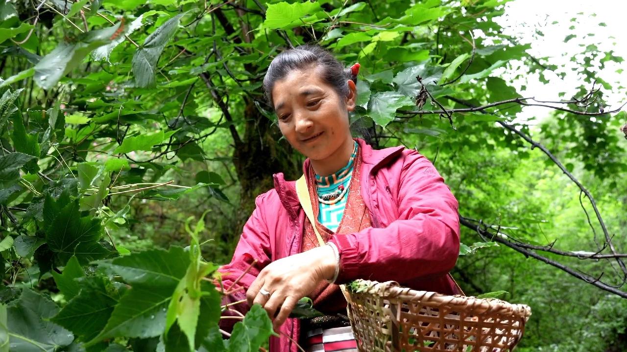 Tree leaves help villagers improve life in SW China ethnic township - CGTN