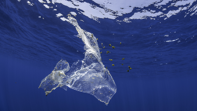 UN Ocean Conference: Joint effort needed to combat plastic pollution - CGTN