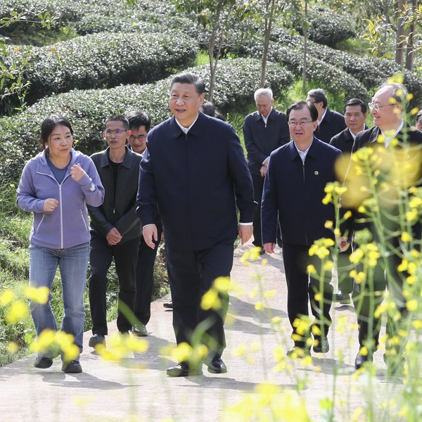 How practice at local level enriches China's governance - CGTN