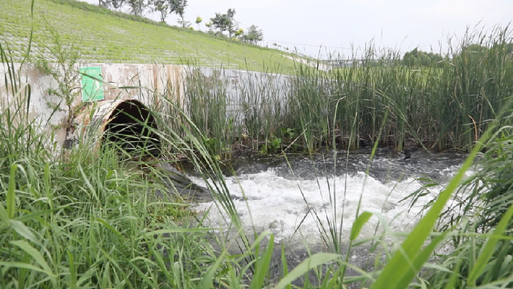 China Tackles Water Pollution: Restoration of Xi River in Liaoning - CGTN