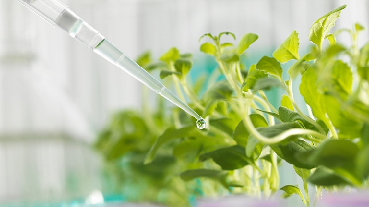 Bio-agriculture strongly supports China's bio-economic growth - CGTN