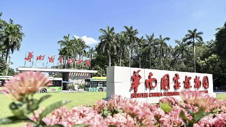 Live: Explore South China National Botanical Garden - CGTN