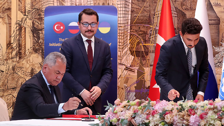 Who benefits from the Black Sea Initiative? - CGTN