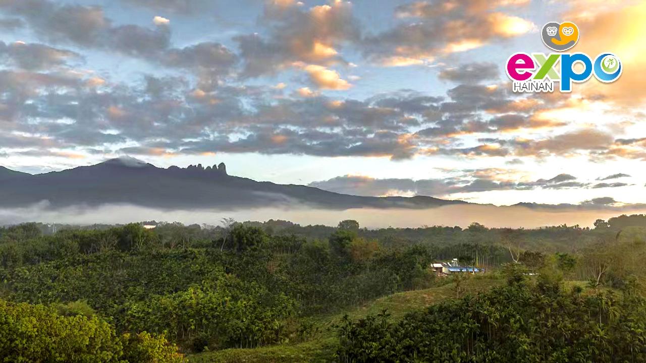 Live: The strange-shaped ridges of Seven Fairy-Lady Mountain in Hainan ...