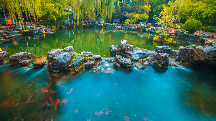 Live: Summer escape – a glance at the refreshing Baotu Spring - CGTN