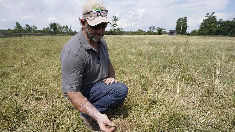 Study: 'Extreme heat belt' to cover middle of U.S. by 2053 - CGTN