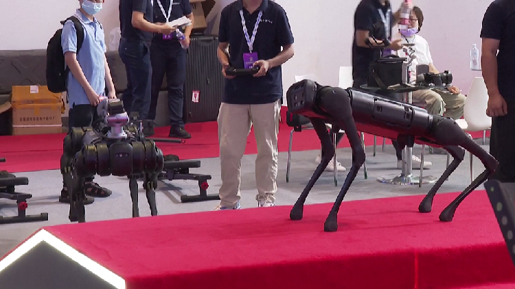 Latest tech exhibited at World Robot Conference in Beijing - CGTN