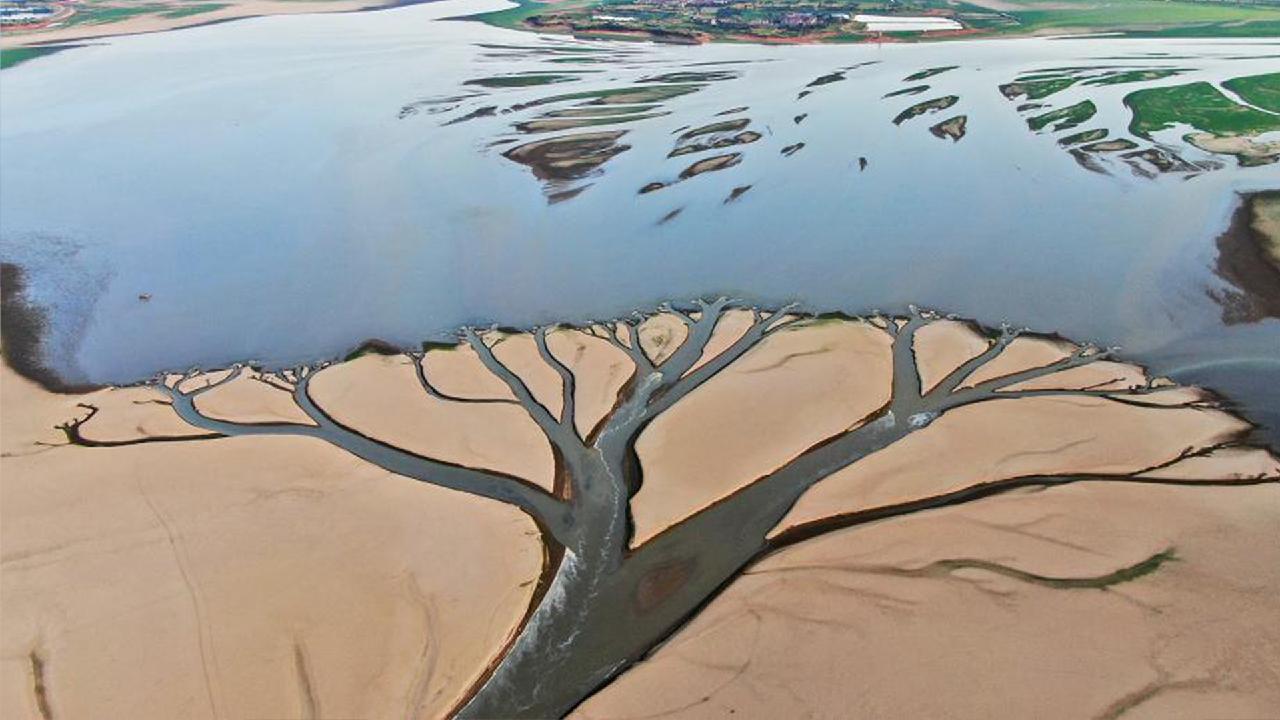 Iconic 'tree of life' appears amid cataclysmic Chinese drought - CGTN