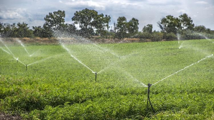 Digital technologies help farmers overcome droughts - CGTN
