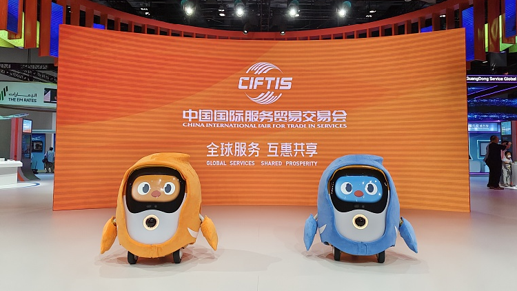 Global companies eye China's long-term growth despite challenges - CGTN