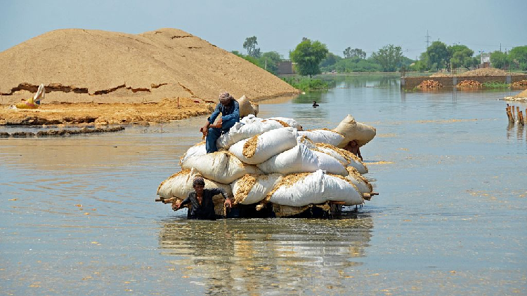 Live: Monsoon floods inundate dozens of villages in Pakistan - CGTN