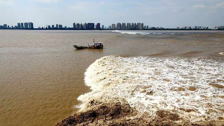 Live: Enjoy fascinating view of Qiantang River's tidal bore – Ep. 13 - CGTN
