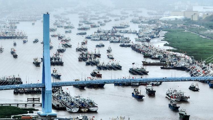 Live: China on high alert as Typhoon Muifa approaches - CGTN