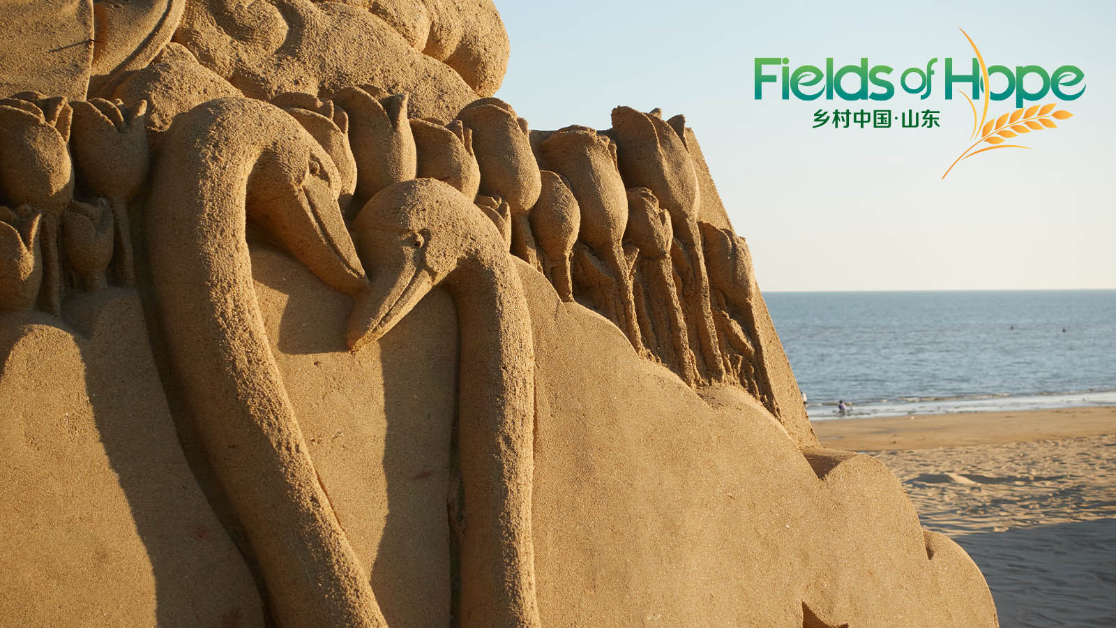 FIELDS OF HOPE