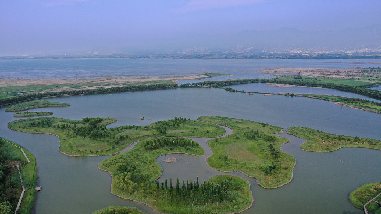 A greener Beijing, where nature and humans coexist - CGTN