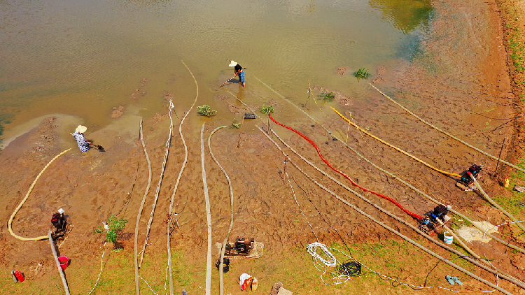 Jiangxi reinforces drought relief efforts to save affected crops - CGTN