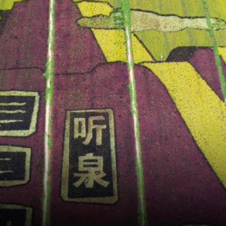 Rice paddy becomes work of art in SW China - CGTN