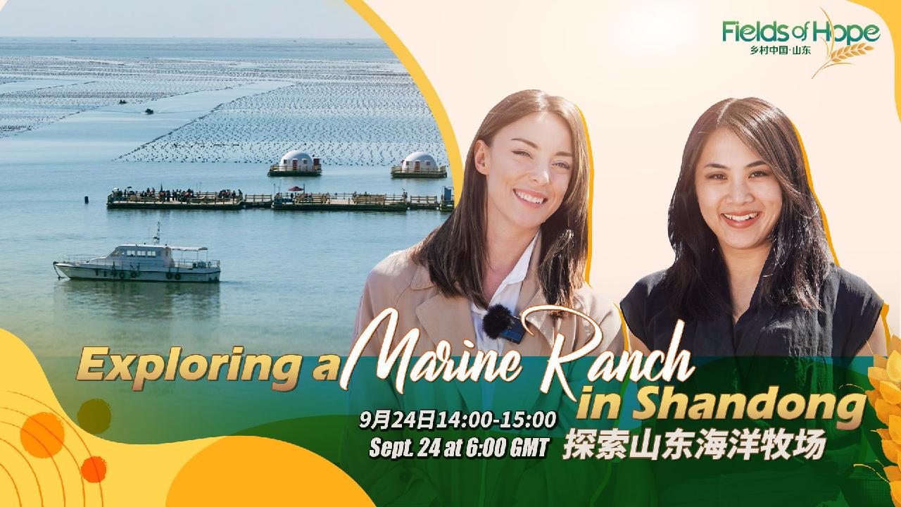 Live: Exploring Ailunwan marine ranch in E China's Shandong - CGTN