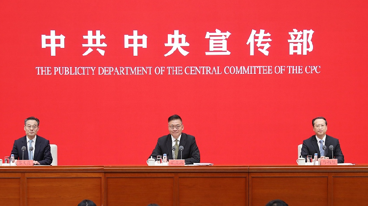 China remains reasonable in promoting global governance system reform ...