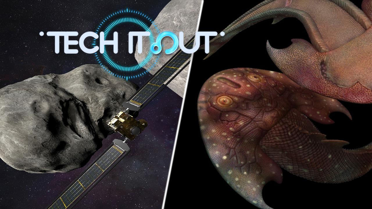 Science Saturday: Space mission and breakthrough fossil discovery - CGTN