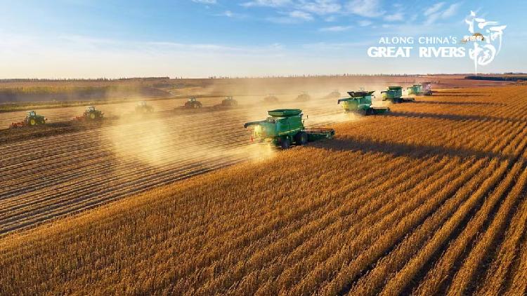 Graphics: Where is China's largest granary? - CGTN