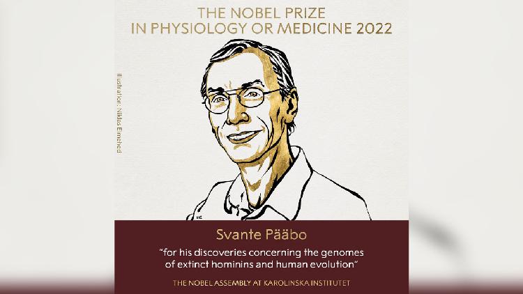 Svante Pääbo wins Nobel Medicine Prize for findings in human evolution ...