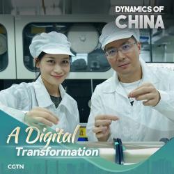 Live: China pursuing technological innovation and self-reliance - CGTN