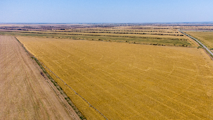 Russia expects record harvest, ready to help poorest countries: Putin ...